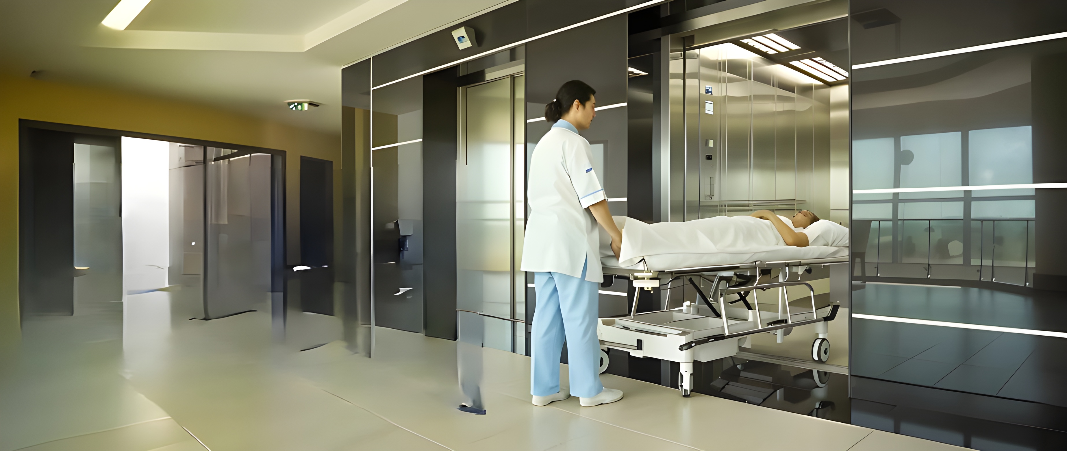 Swiz Elevator - Lift/Elevator Manufacturers & Suppliers in Delhi, India
